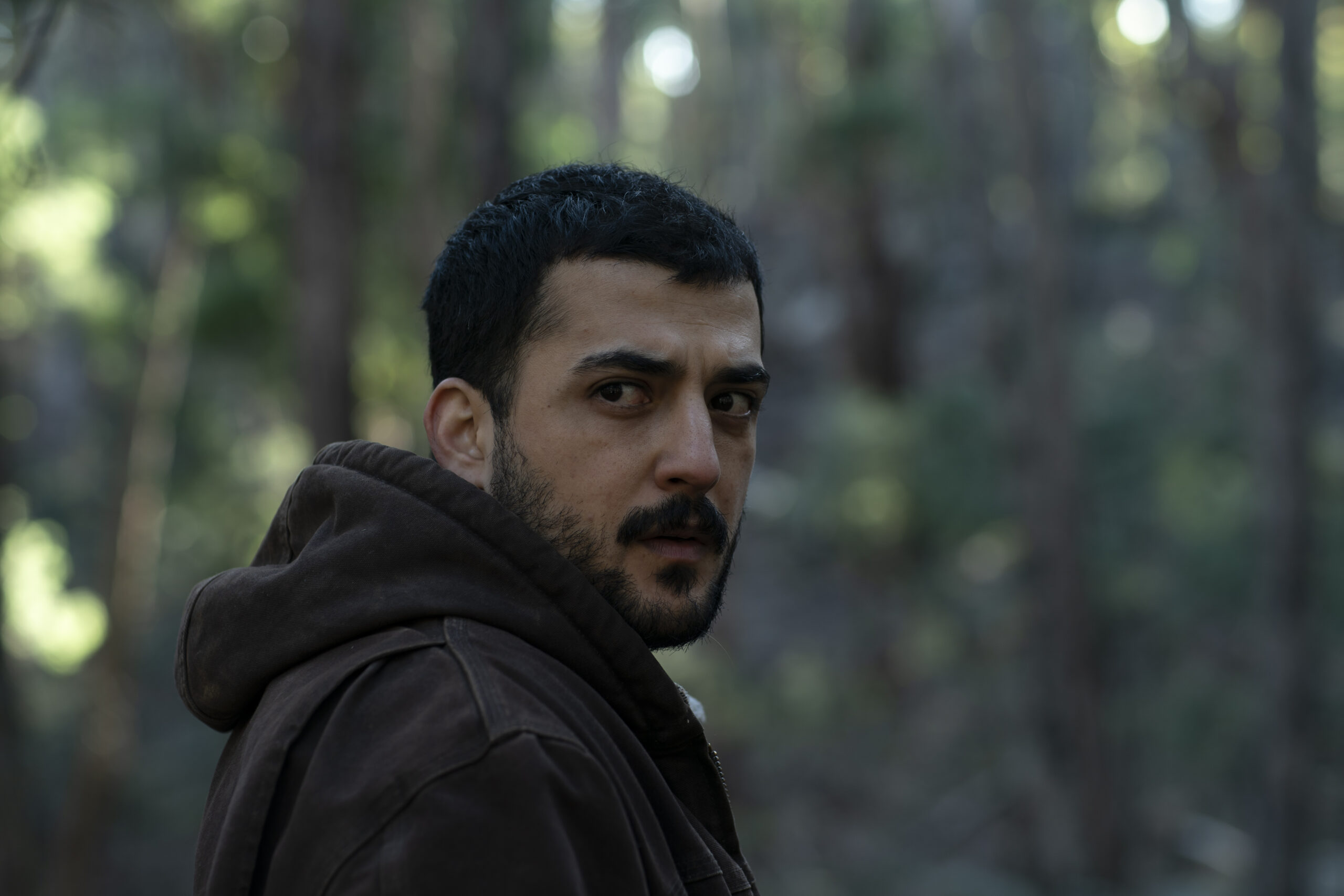 The Rooster - MIFF Industry